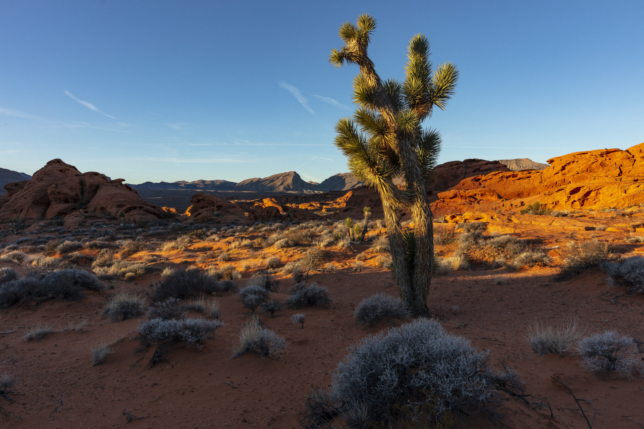 Nevada man sentenced to 6 months in prison for damaging rock art ...
