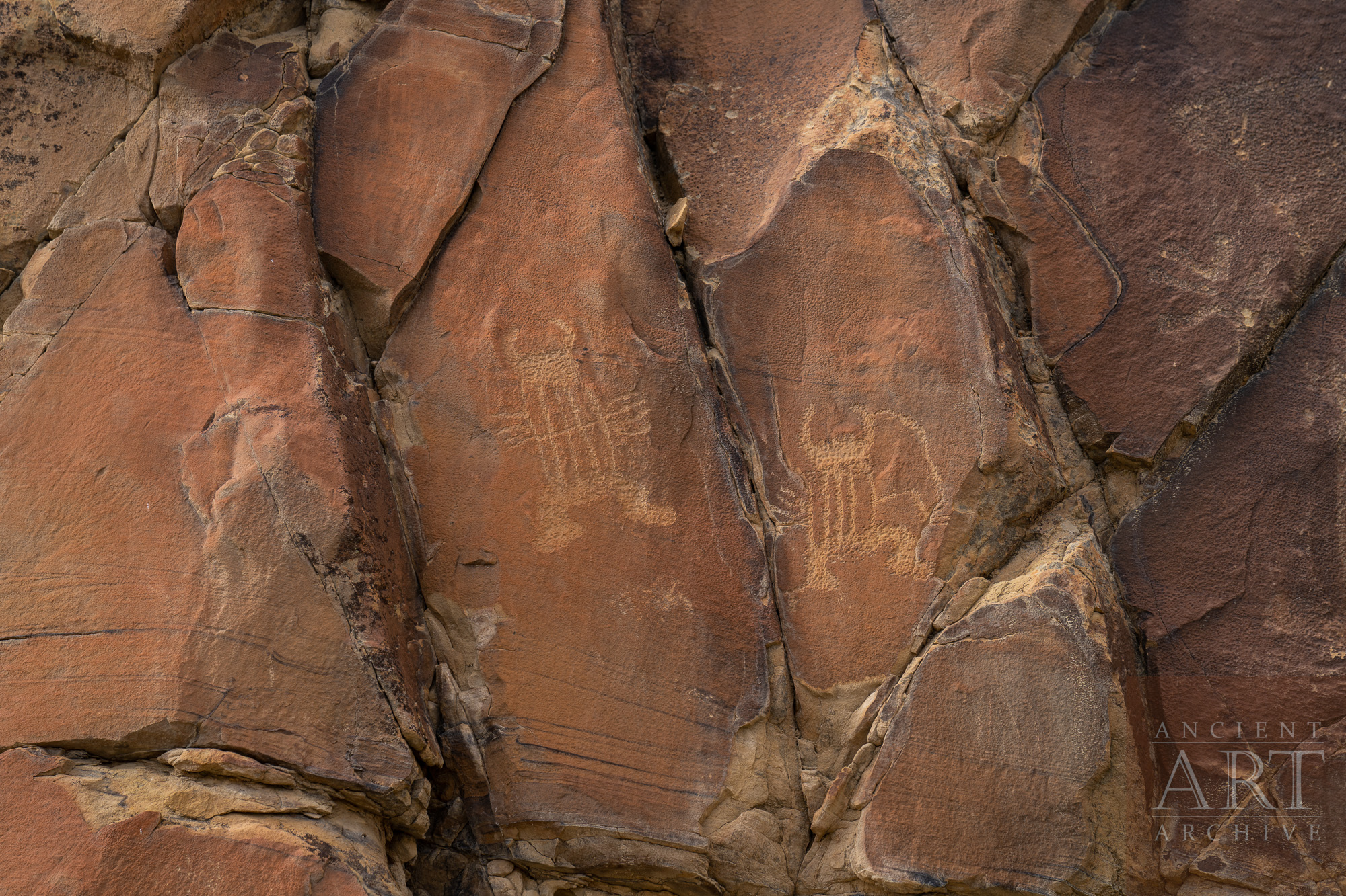 Legend Rock, Wyoming USA » Ancient Art Archive