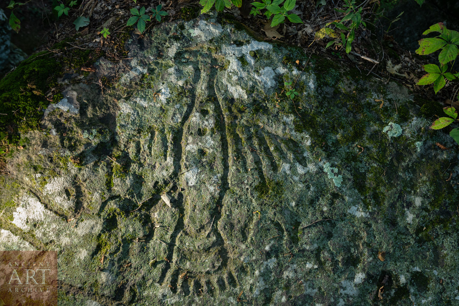 Millstone Bluff Archaeological Area, Illinois, USA » Ancient Art Archive