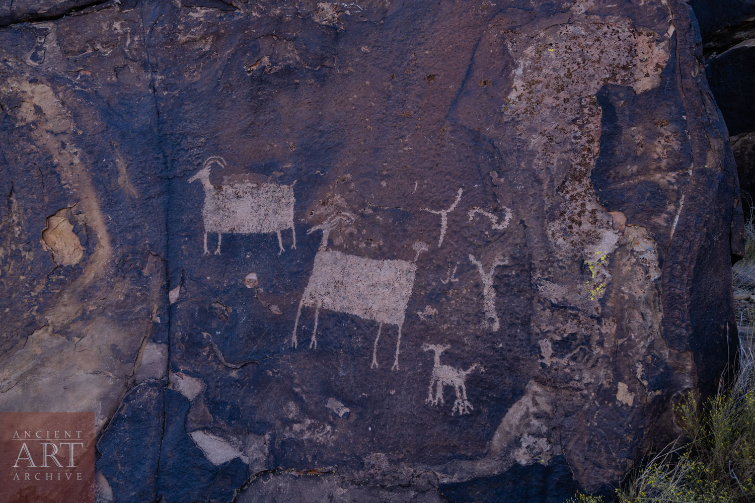 Tempi'po'op Trail Petroglyphs Washington County, Utah USA » Ancient Art ...