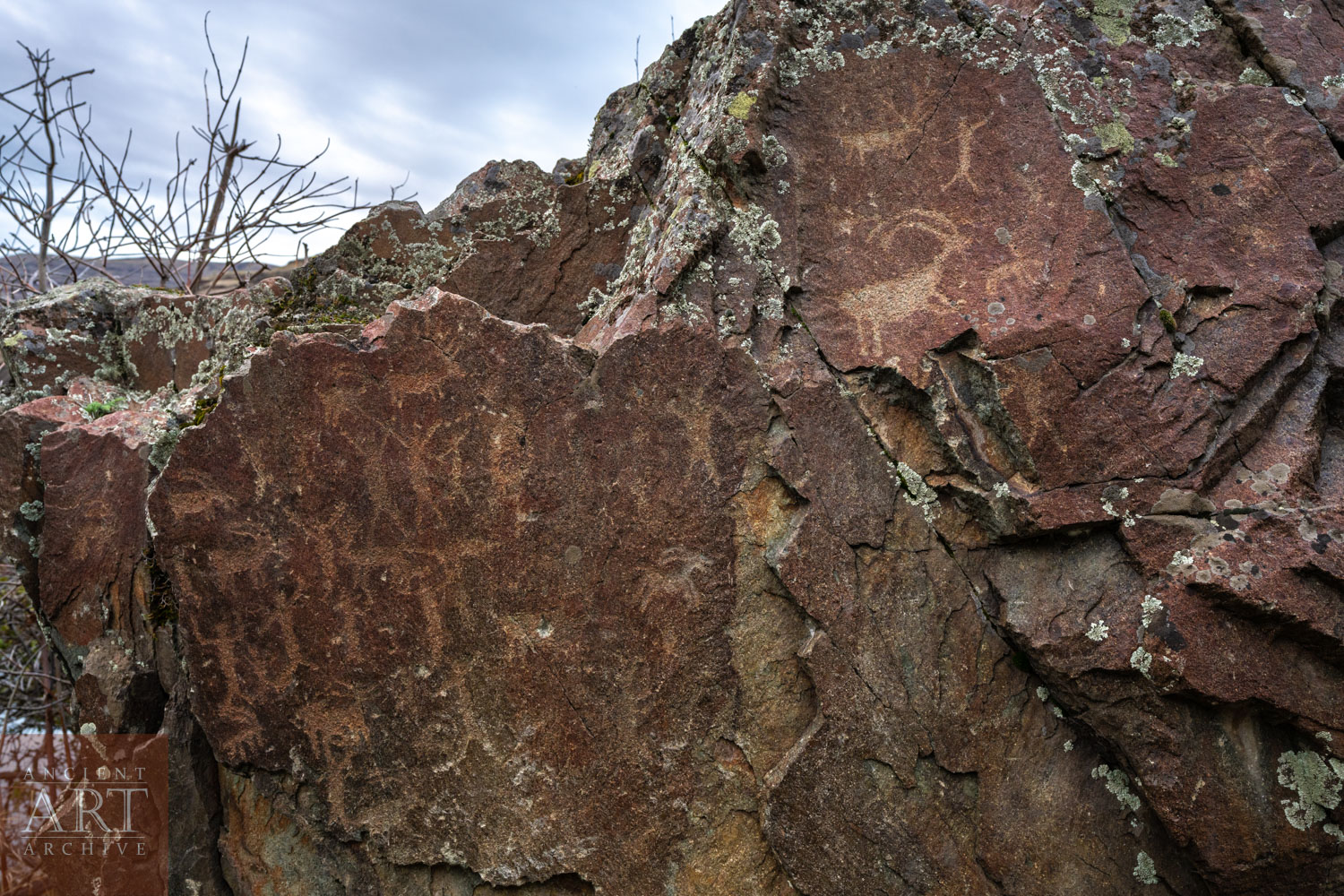 Buffalo Eddy Petroglyphs, Washington / Idaho USA » Ancient Art Archive