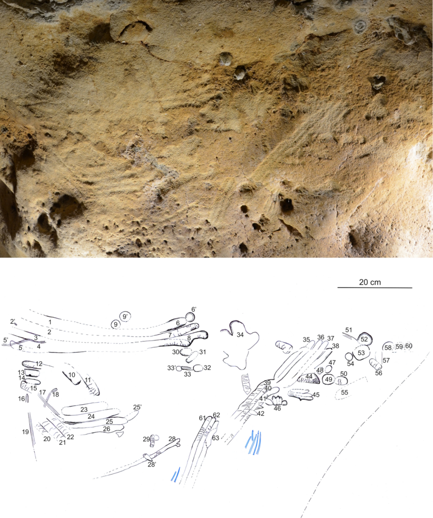 Growing evidence of Neanderthal "Art" » Ancient Art Archive