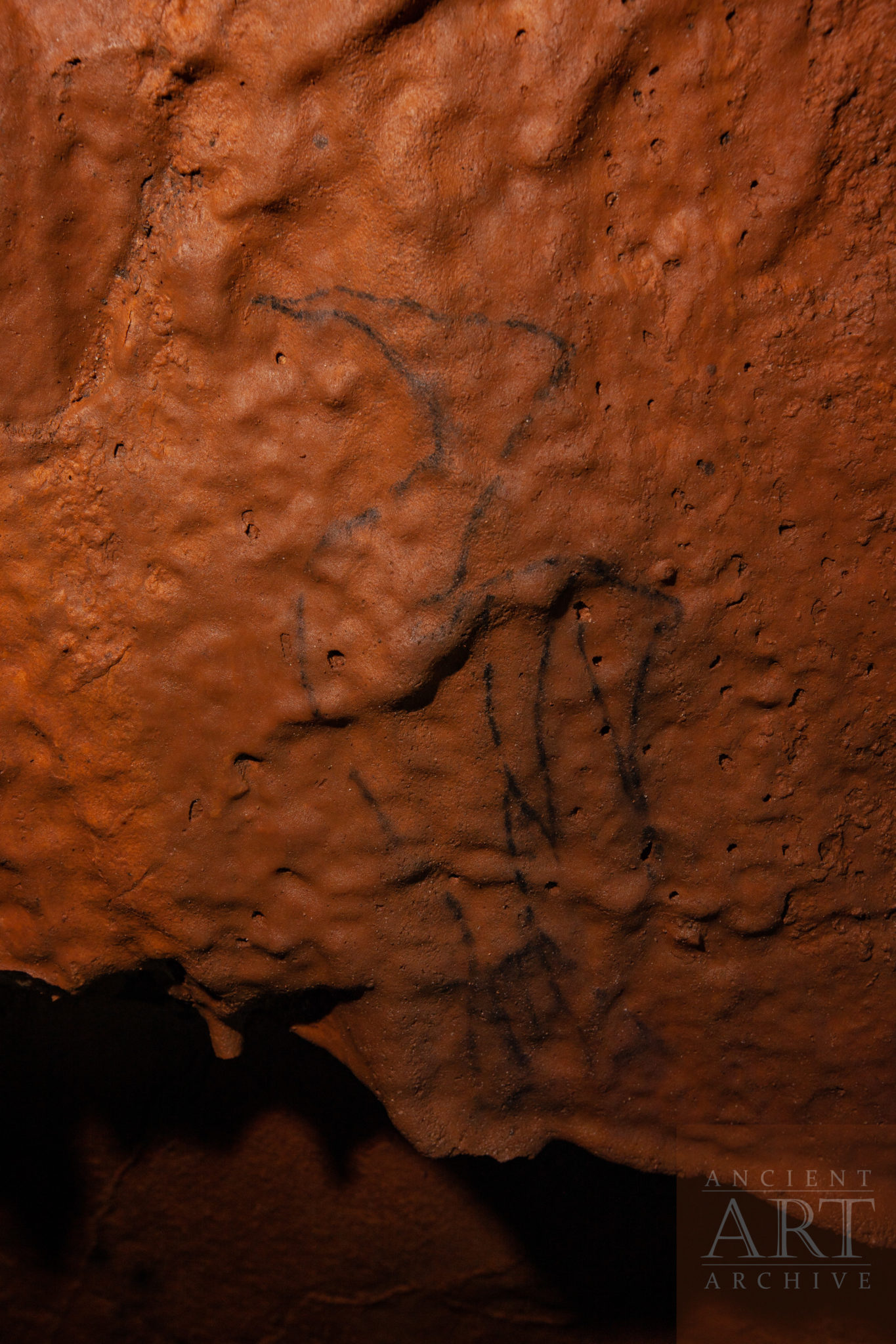 Devilstep Hollow Cave, Tennessee » Ancient Art Archive