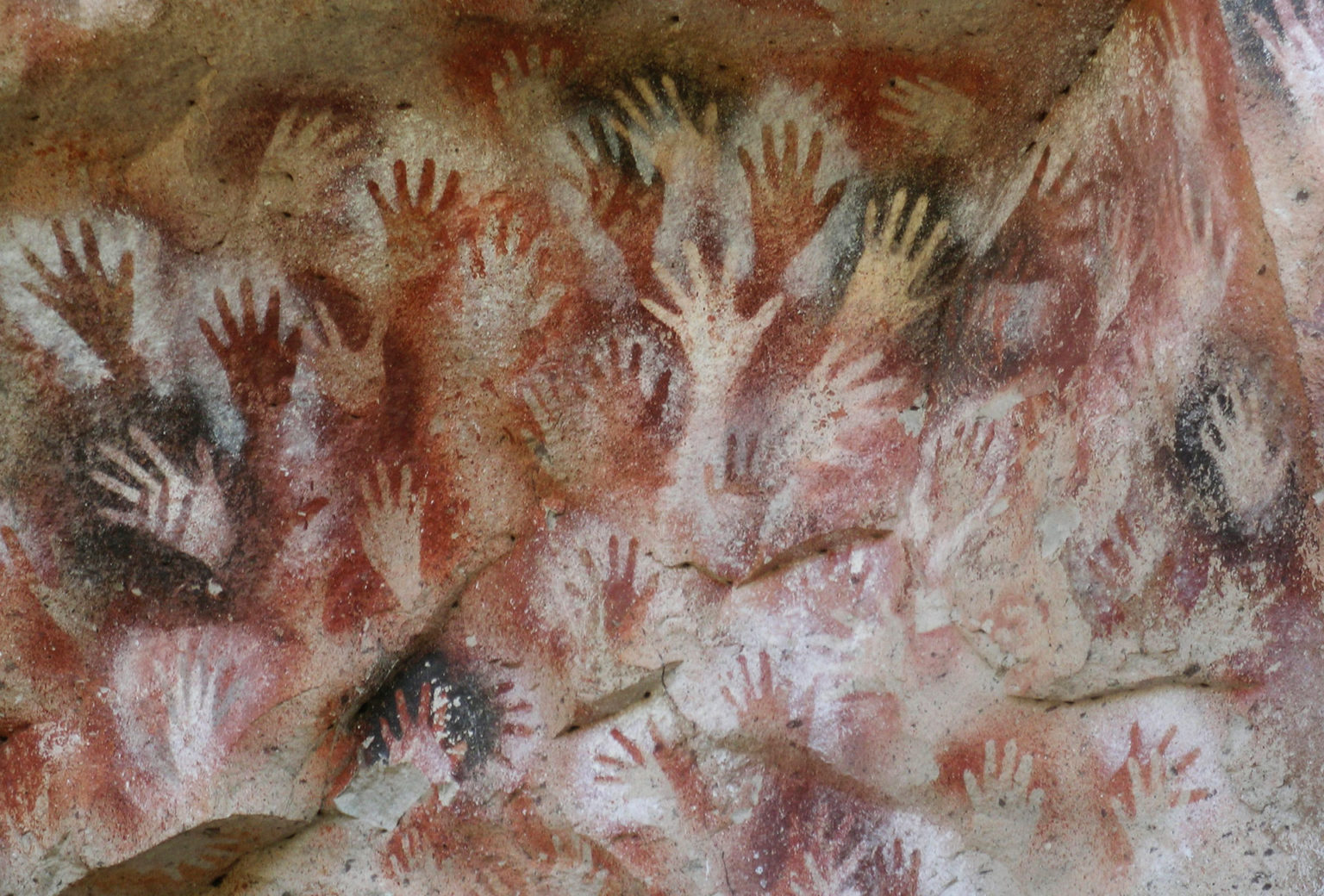 Altamira Cave, Spain » Ancient Art Archive